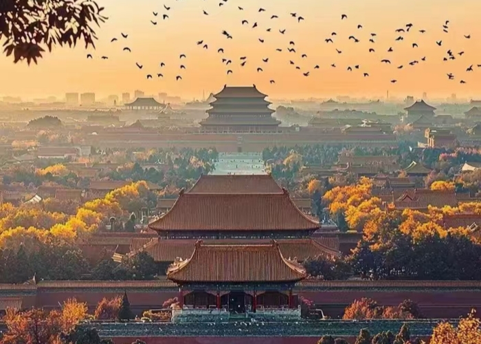 What is the Best Visiting Route of Forbidden City?