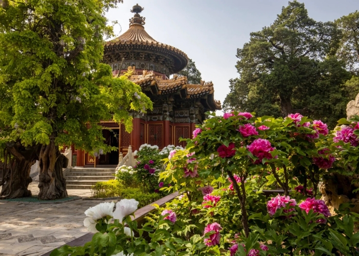 First-Time Visitor's Guide to the Forbidden City